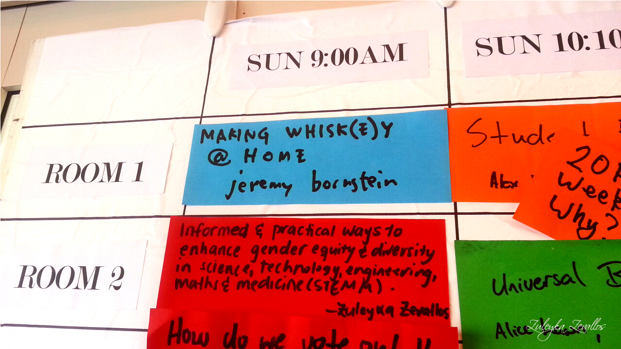 Ways to Enhance Gender Equity and Diversity in STEMM – The Other ...