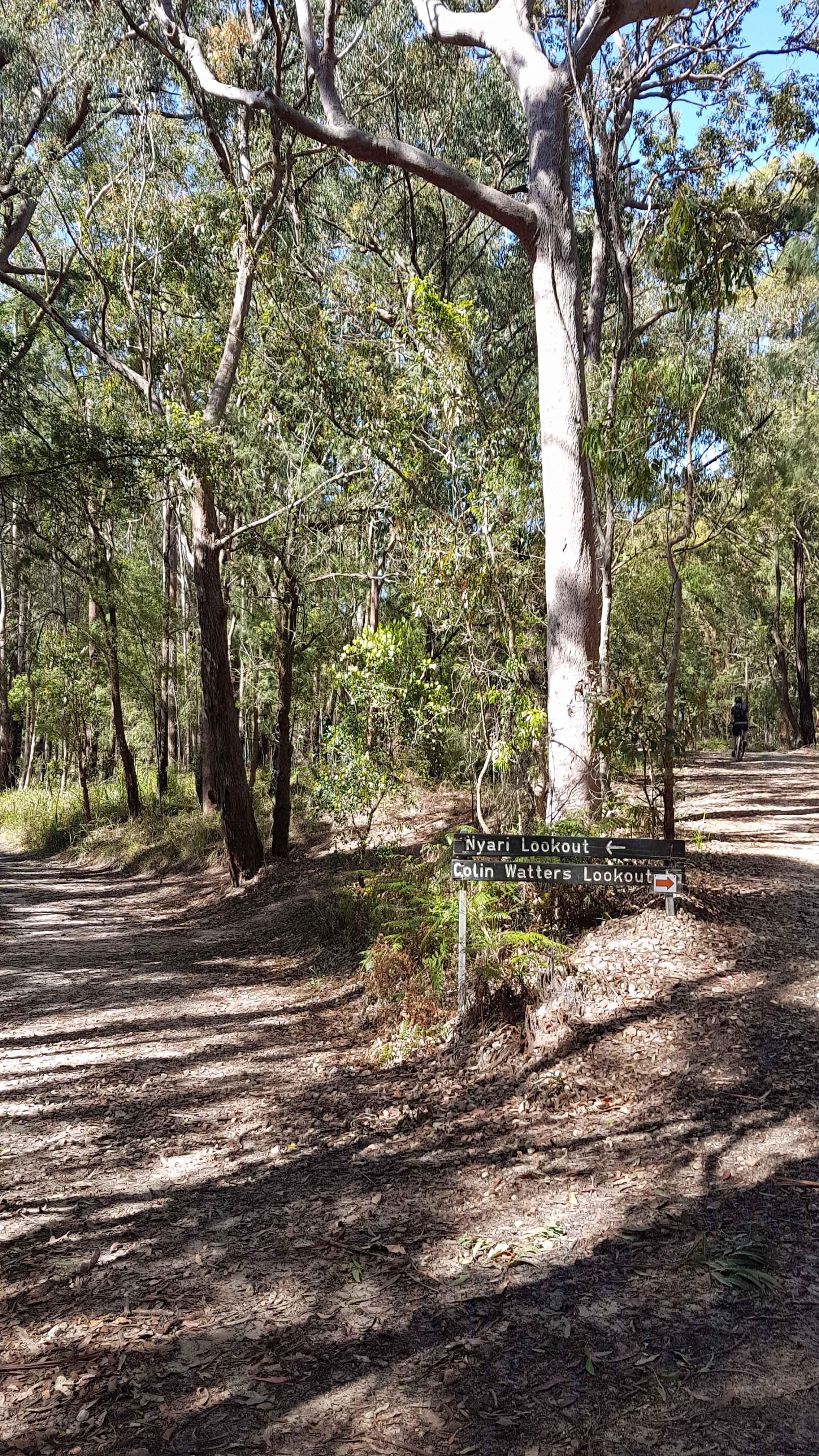 Kincumba Mountain – Nyari Lookout path – The Other Sociologist